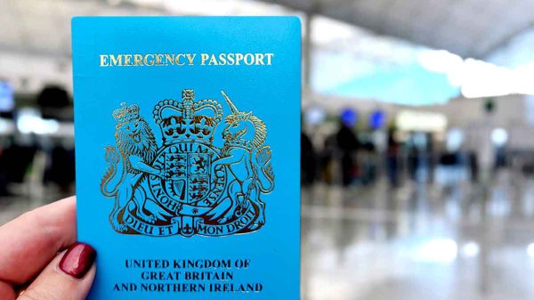 AVIVA – The Perfect Travel Insurance - laacib